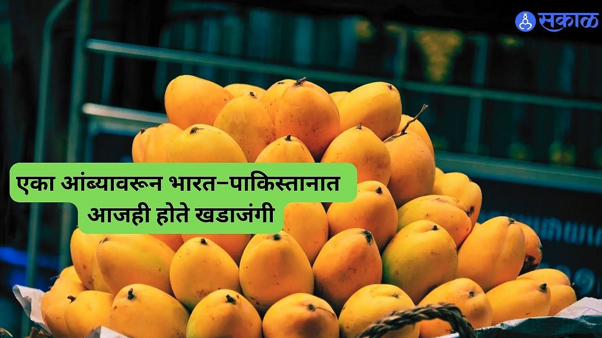 Rataul Mango Story : एका आंब्यावरून भारत–पाकिस्तानात आजही होते खडाजंगी ...
