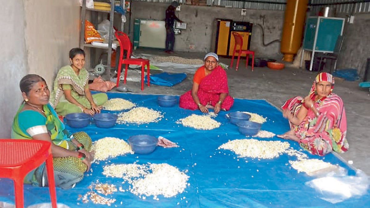 Motivation News : आले, लसूण पॅकेजिंगच्या उद्योगामधून ‘सिद्धी’ siddhi ...