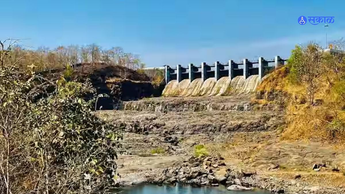Barvi Dam: बारवी धरणात उरला फक्त 31 टक्के पाणीसाठा, बाष्पी भवनामुळे ...