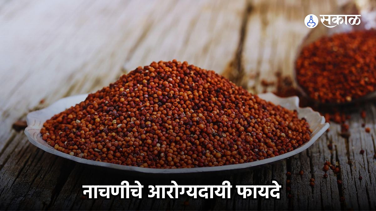 Benefits of finger Millet : उन्हाळ्यात नाचणीचे सेवन करणे आरोग्यासाठी ...