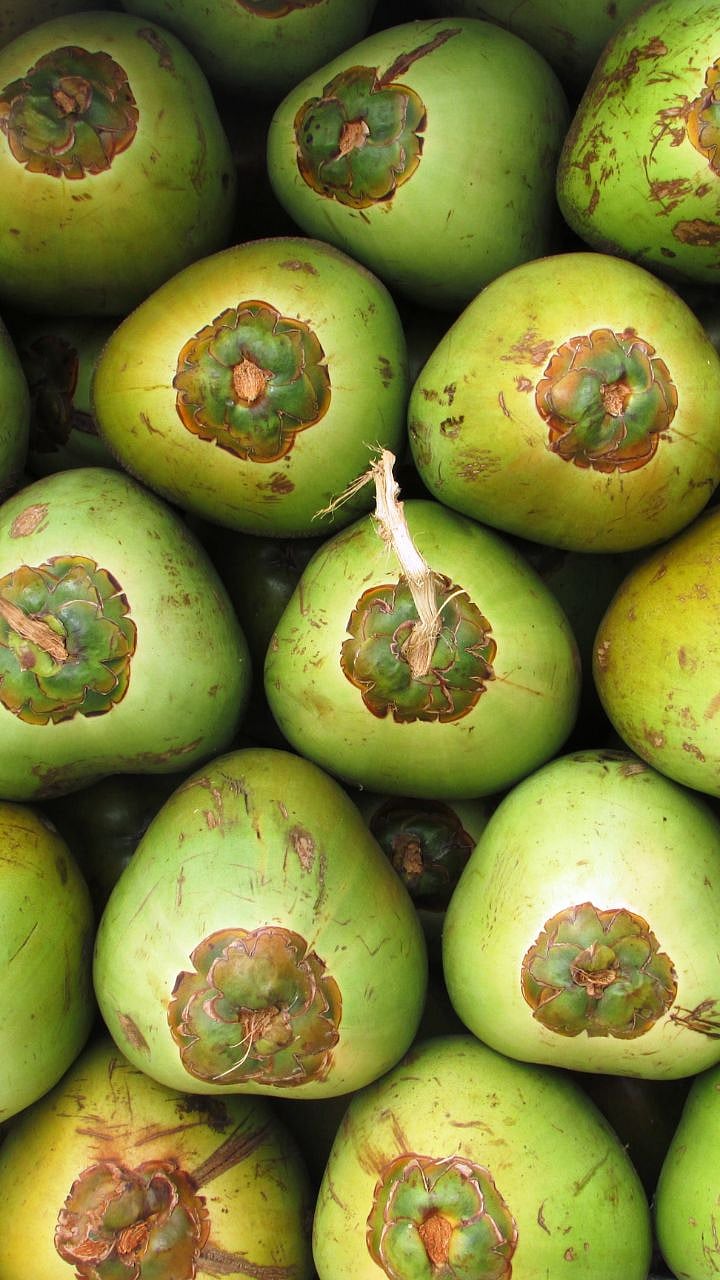 नारळात भरपूर पाणी आहे की नाही कसं ओळखावं?