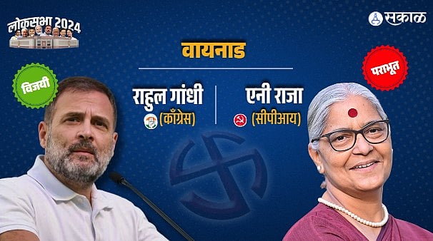 Wayanad Lok Sabha Election Results: वायनाड काँग्रेससाठी सुरक्षितच ...