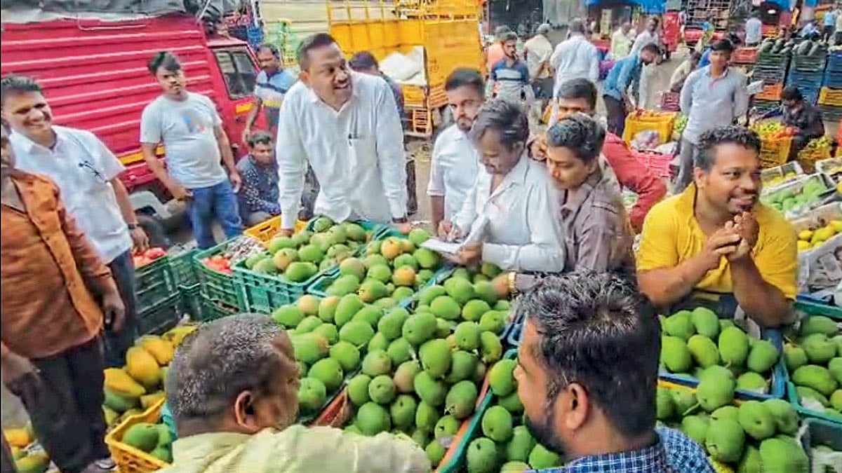 Gavran Hapus Mango : गावरान हापूसला पाच वर्षांतील मिळताहेत उच्चांकी भाव ...