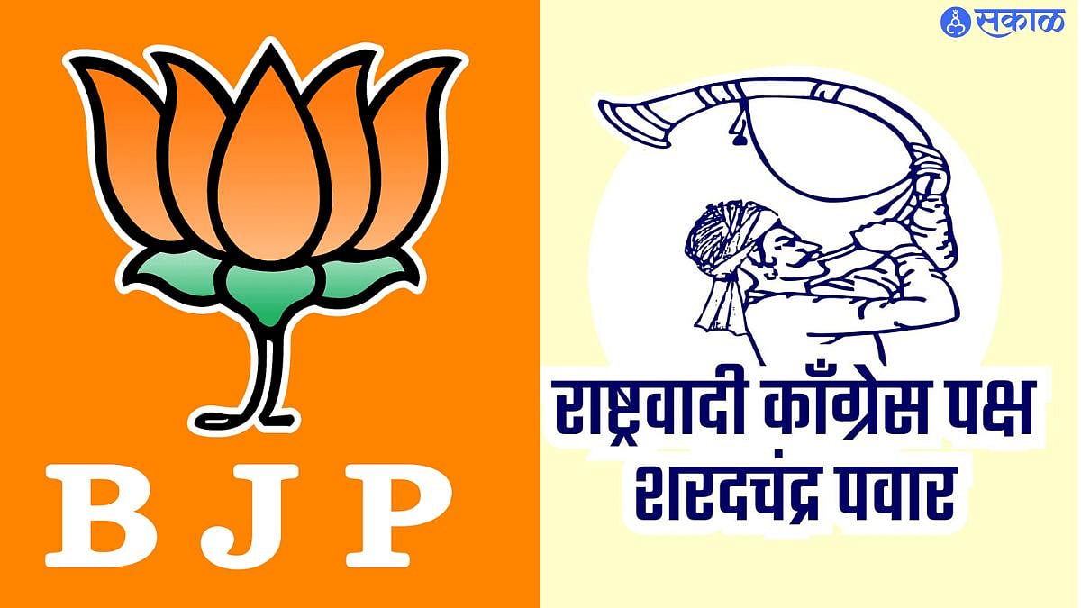 Niphad Assembly Constituency : निफाडमध्ये कमळाचा सुगंध की तुतारीचा ...