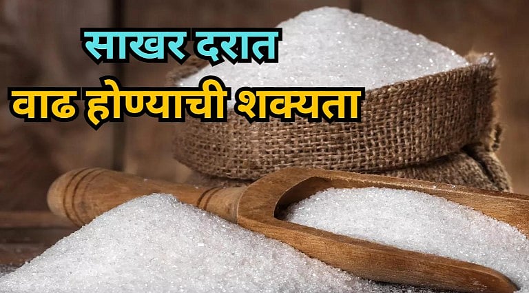 साखर दरात वाढ होण्याची शक्यता; केंद्र सरकारकडून देशभरातील साखर ...