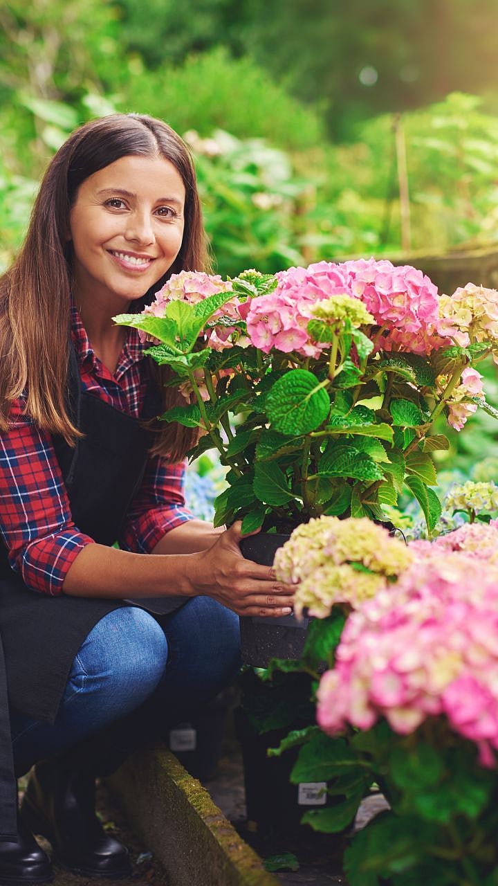 पावसाळ्यात घरातील बाग राहील हिरवीगार, करा 'हे' काम how to take care of ...