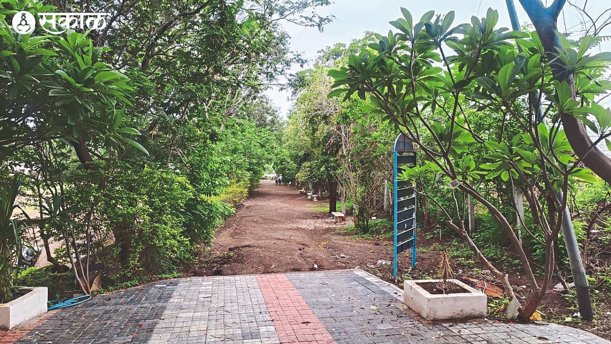 Dhule News : देवरे महाविद्यालयाच्या प्रांगणात बहरली वनराई! म्हसदी येथे ...