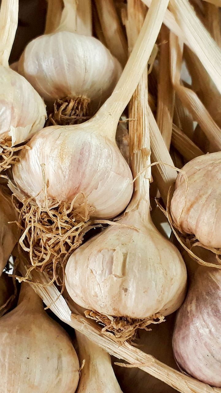तुम्ही देखील नकली लसूण खाताय का? कसे ओळखाल | how to identify genuine garlic