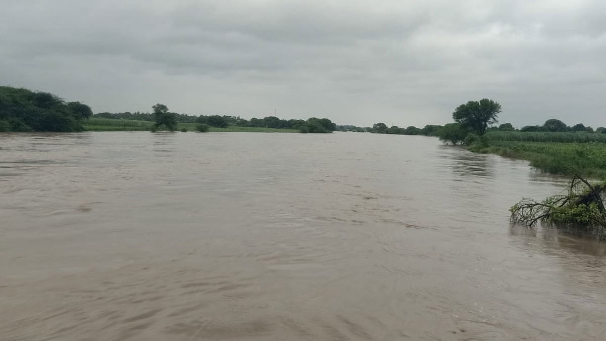 Nilanga Rain : सतत अतिवृष्टीमुळे पाणीच-पाणी! मांजरा व तेरणा नदीला पूर ...