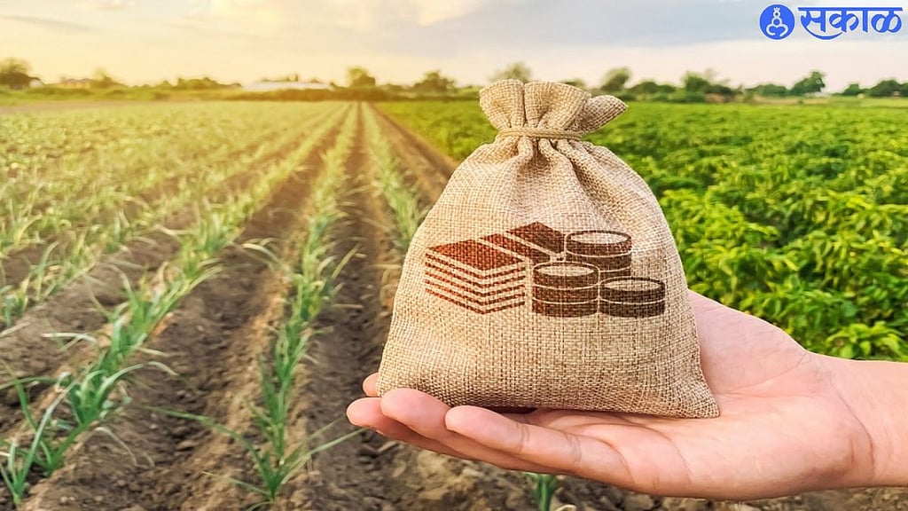 E-Panchnama App : नुकसान भरपाई नोंदविण्यासाठी ‘ई-पंचनामा’; नागपूरच्या ...