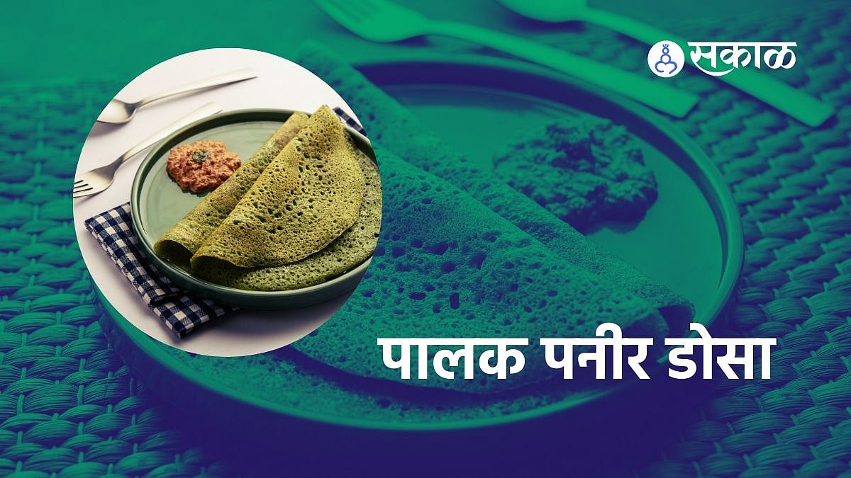 Palak Paneer Dosa: सकाळी नाश्त्यात बनवा चवदार पालक पनीर डोसा, सोपी आहे ...