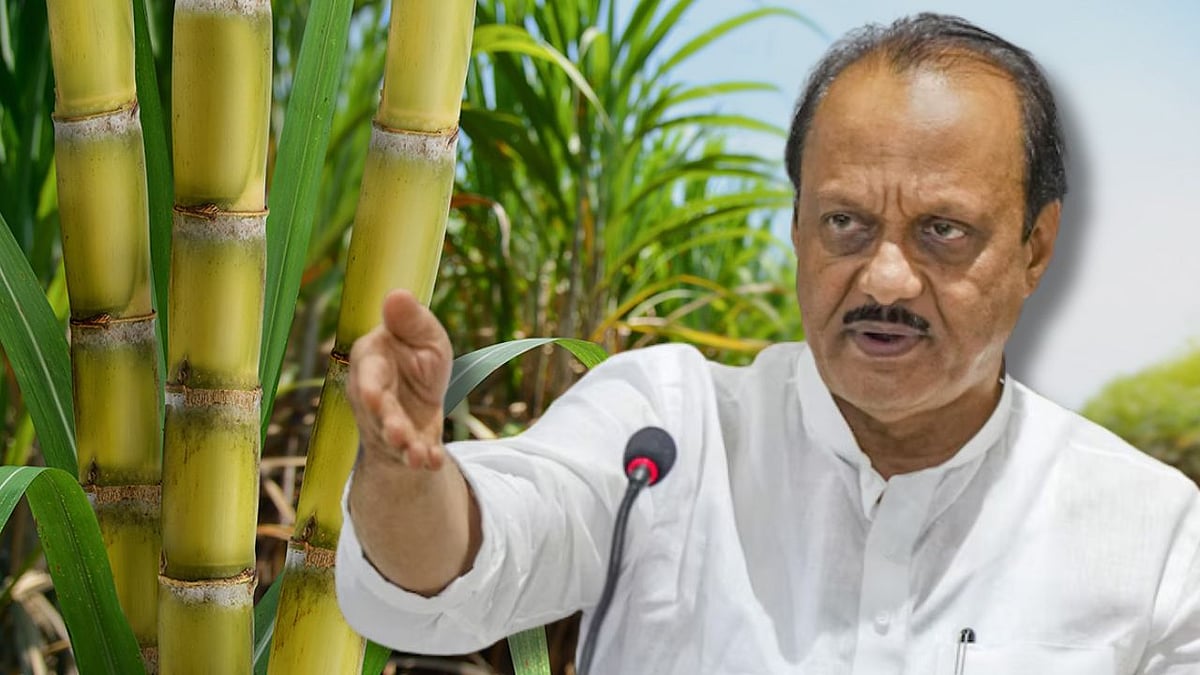 महाराष्ट्रातील साखर हंगाम 'या' तारखेपासून होणार सुरू; अजितदादांच्या ...