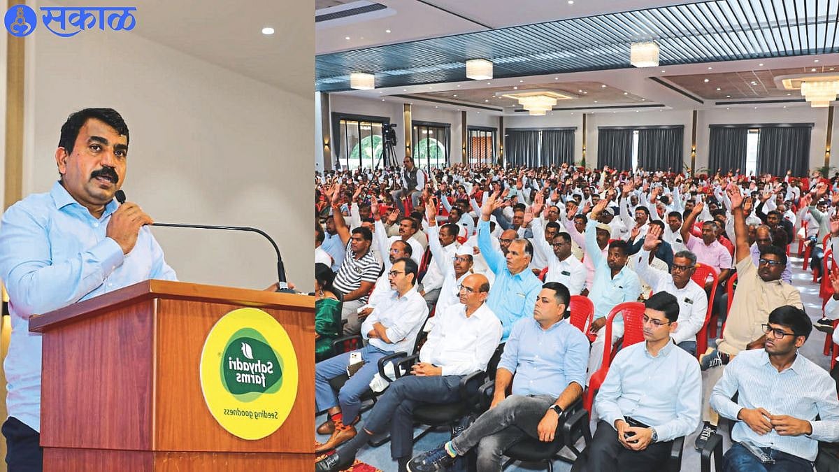 Nashik Sahyadri Farms : फलोत्पादन मूल्यसाखळीत ‘सह्याद्री फार्म्स’ची झेप ...