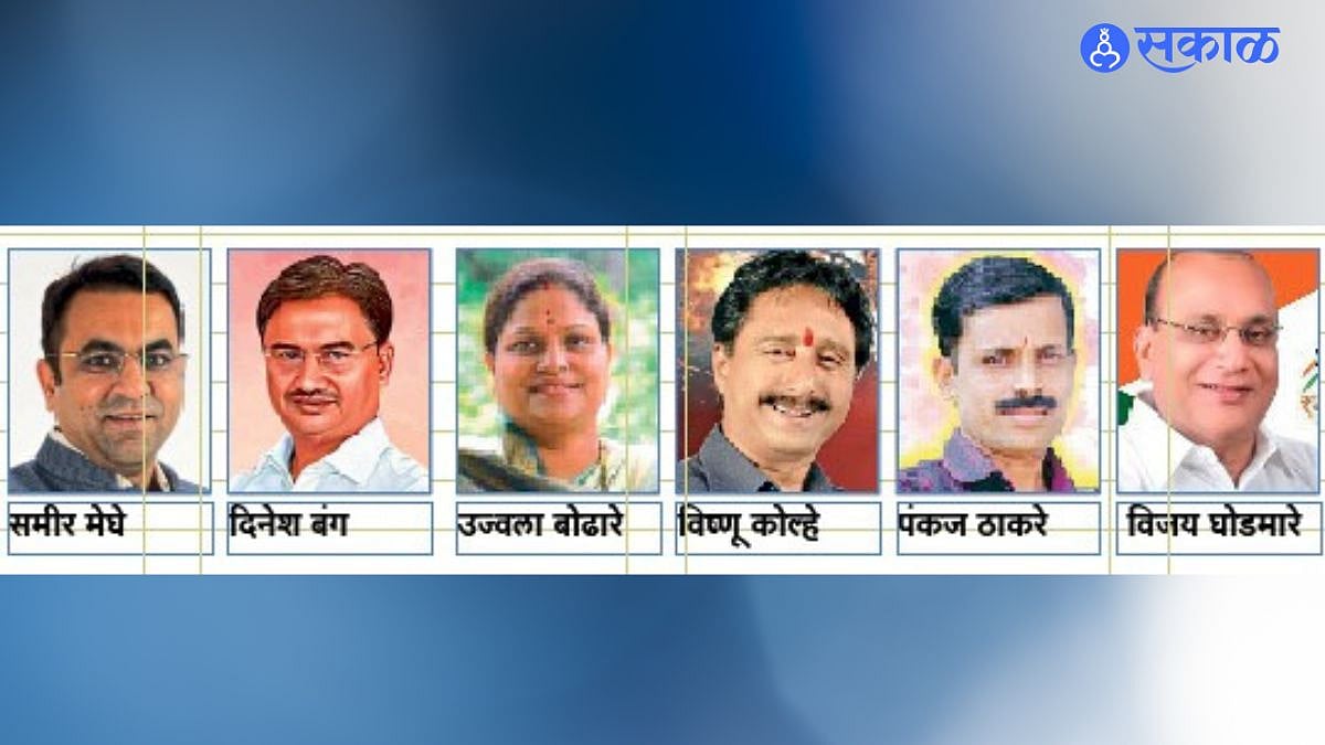 Assembly election 2024 campaign starts in hingna constituency with ...