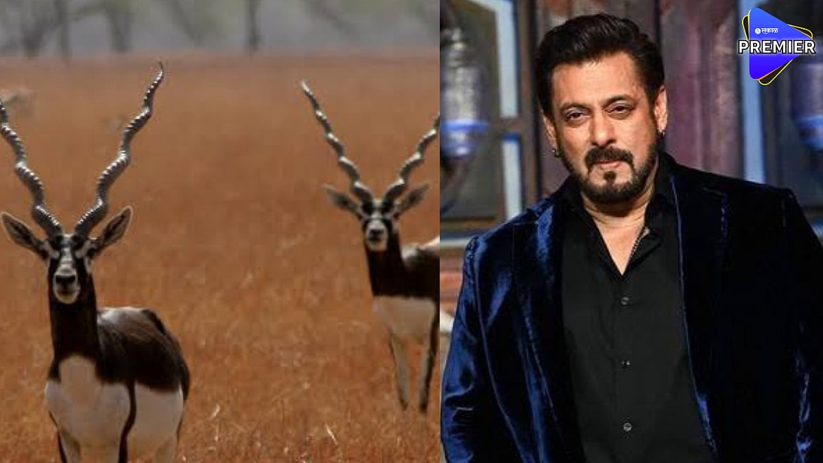 Salman Khan Blackbuck Hunting Case | त्या रात्री नेमकं काय घडलं ...