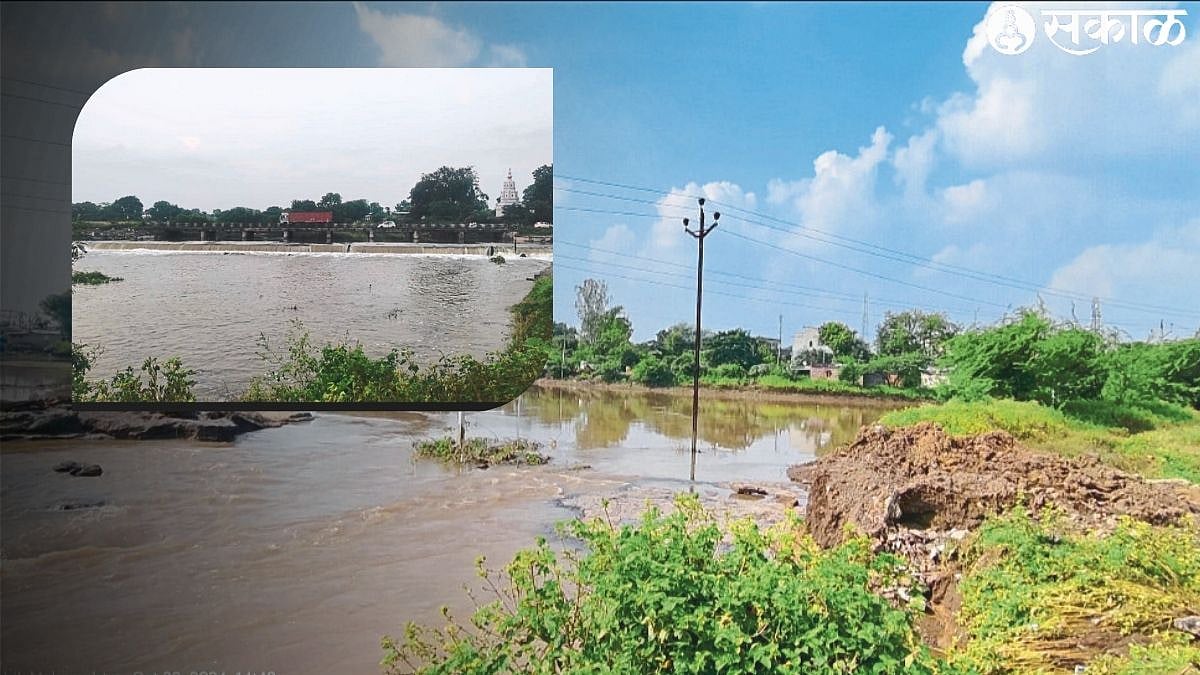 Nashik Heavy Rain : जळगाव नेऊरचा बंधारा गेला वाहून! चार वर्षांनंतर गाय ...