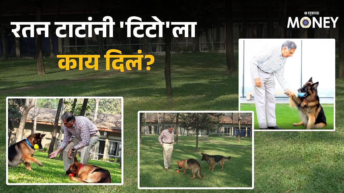 Ratan Tata's will Unlimited care for dog Tito Through His Rs 10,000 ...