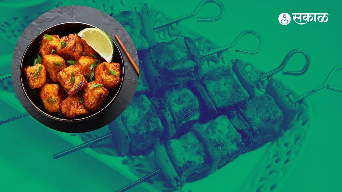 Paneer Square Recipe: सकाळी नाश्त्यात घरच्या घरी बनवा 'पनीर स्क्वायर ...