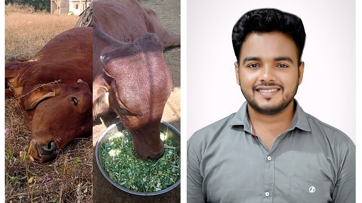 Bidkin News : मृत्युच्या दाढेतुन वाचविले सर्पदंश झालेल्या गोमातेचे ...