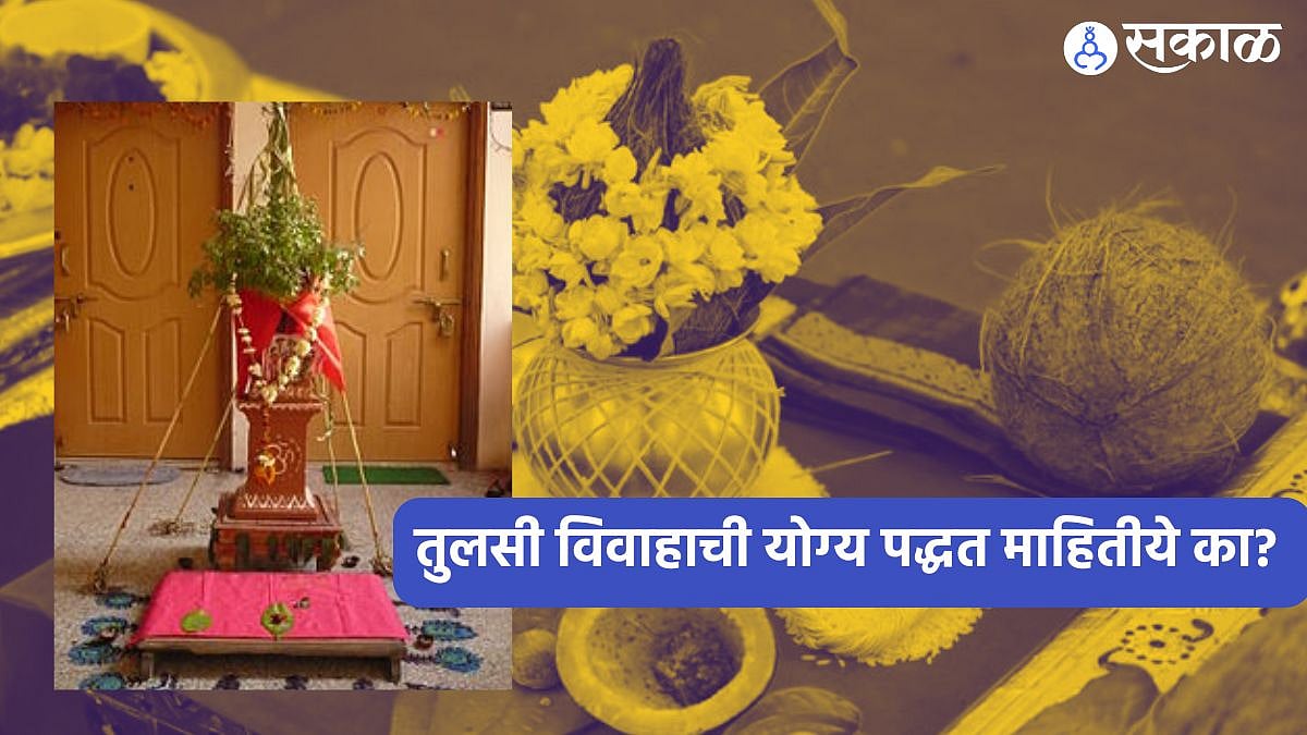 Tulsi Vivah 2024 : तुलसी विवाहाची योग्य पद्धत माहितीये का? इथे आहे ...