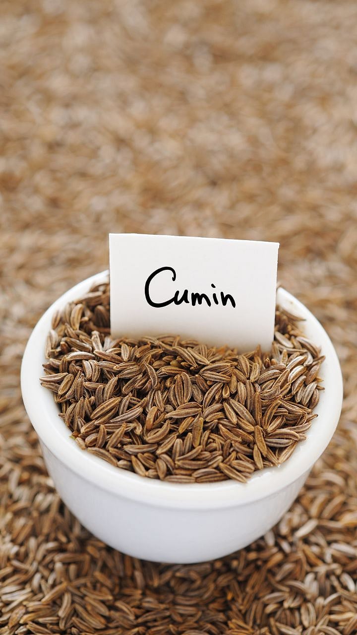 घरीच जीऱ्याचे रोप कसे वाढवाल? how to grow jeera cumin in pot marathi ...