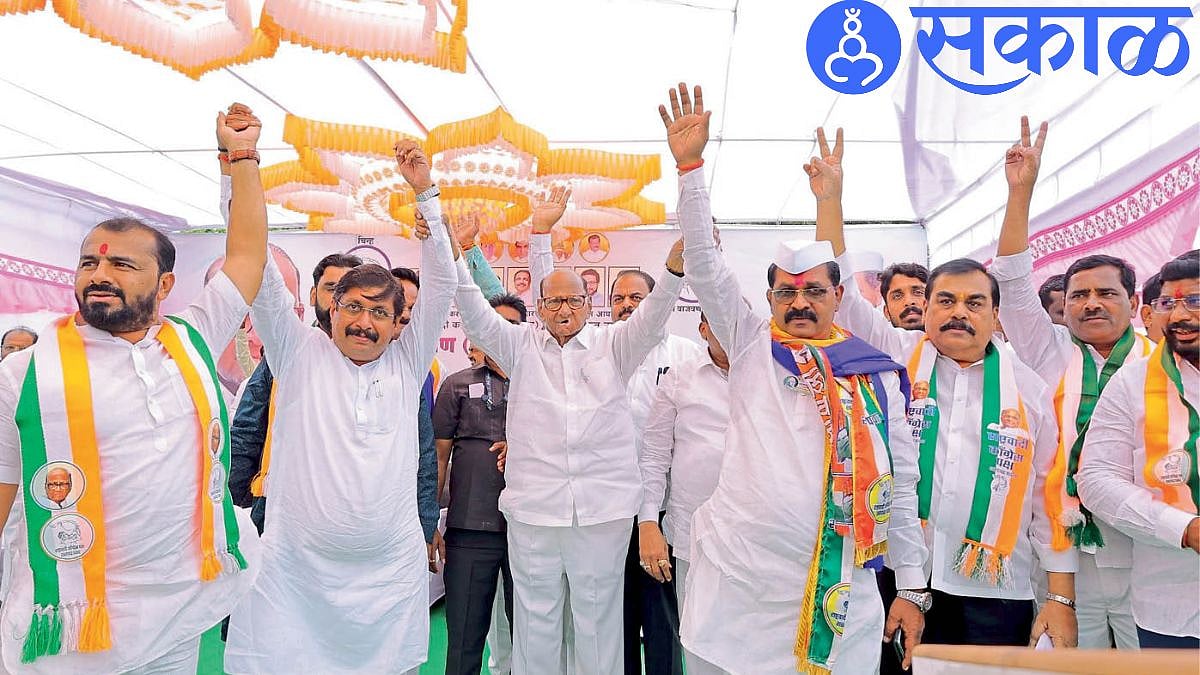 NCP Sharad Pawar publicly urged support exclusively Mahavikas Aghadi ...