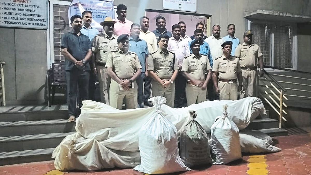 Raibag Police : उसाच्या शेतात पिकविलेला तब्बल आठ लाखांचा गांजा ...