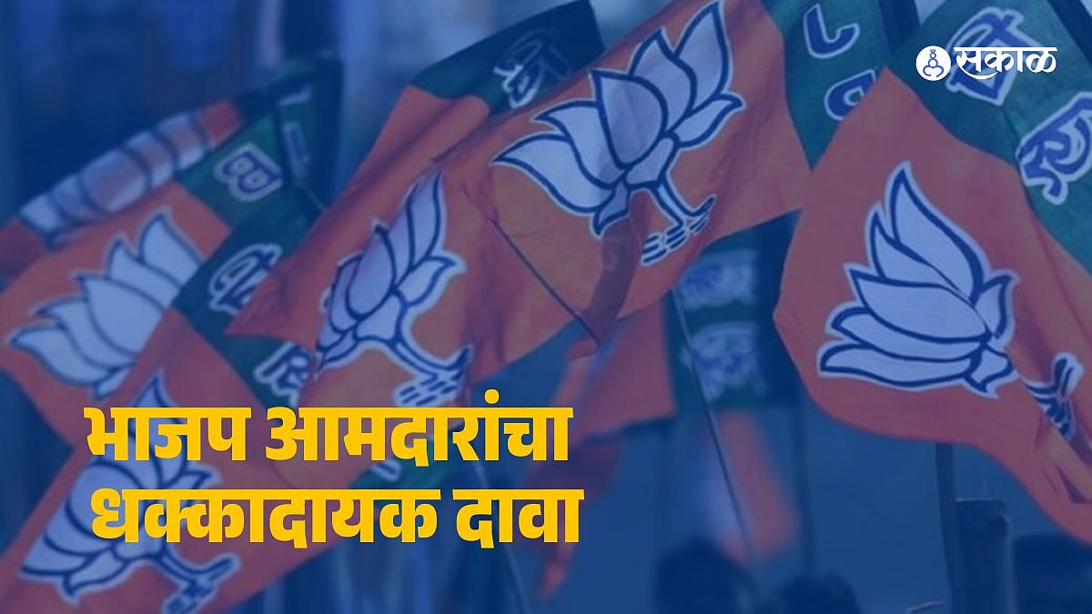 Belapur constituency MLA Manda Mhatre accused of being threatened by ...