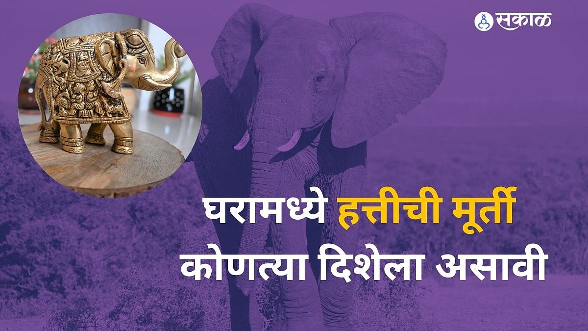Vastu Tips: घरामध्ये हत्तीची मूर्ती कोणत्या दिशेला असावी, वाचा ...