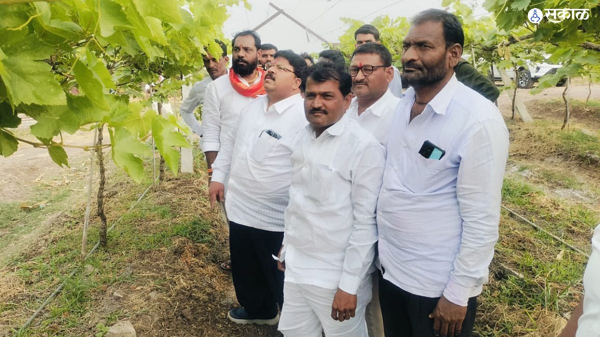 Mohol Assembly constituency 2024 : मोहोळ विधानसभे नंतर आता "मिशन ...