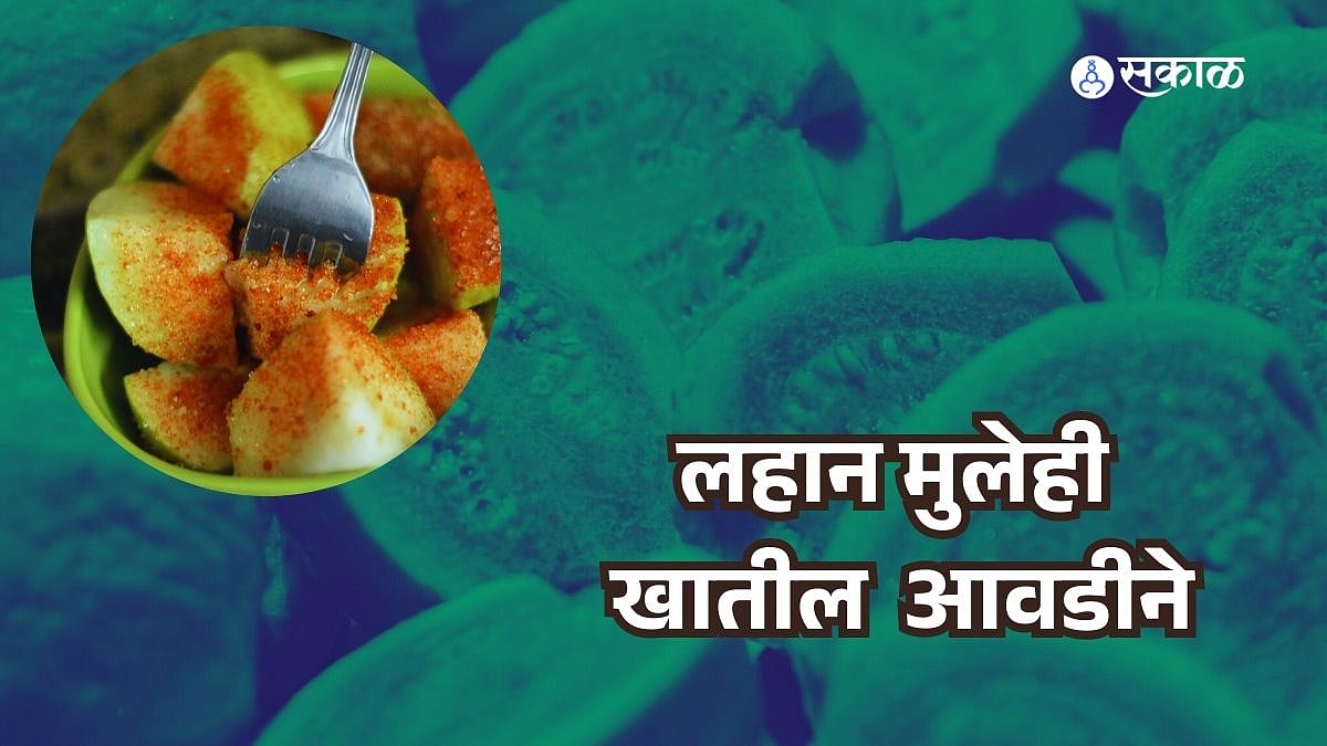 Guava Chaat Recipe: गुलाबी थंडीत बनवा आंबट-गोड पेरू चाट, तोंडाला सुटेल ...