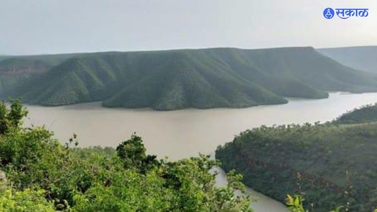 Krishna River Pollution : कृष्णा नदीचे पाणी प्रदूषण; सर्वांना प्रश्नाची ...