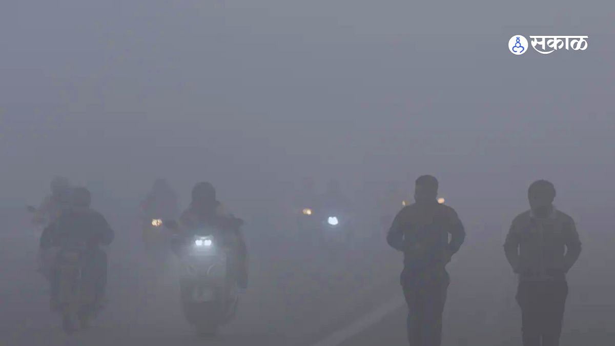 Cold Wave In Maharashtra : राज्यात थंडीची लाट कायम, किमान तापमानात ...