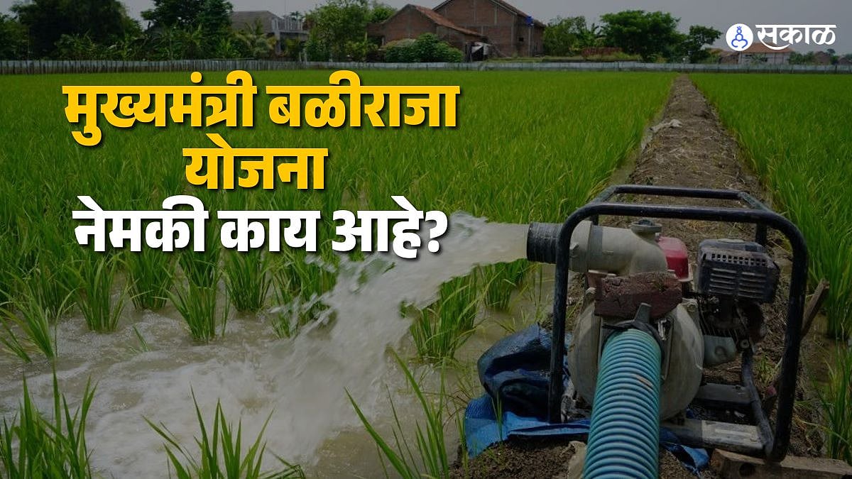 CM Baliraja Scheme : शेतकऱ्यांना मोफत वीज देणारी मुख्यमंत्री बळीराजा ...