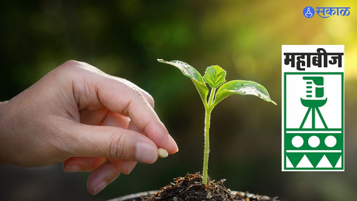 Mahabeej : ‘महाबीज’कडून भागधारकांना ३० टक्के लाभांश जाहीर...गतवर्षी ...