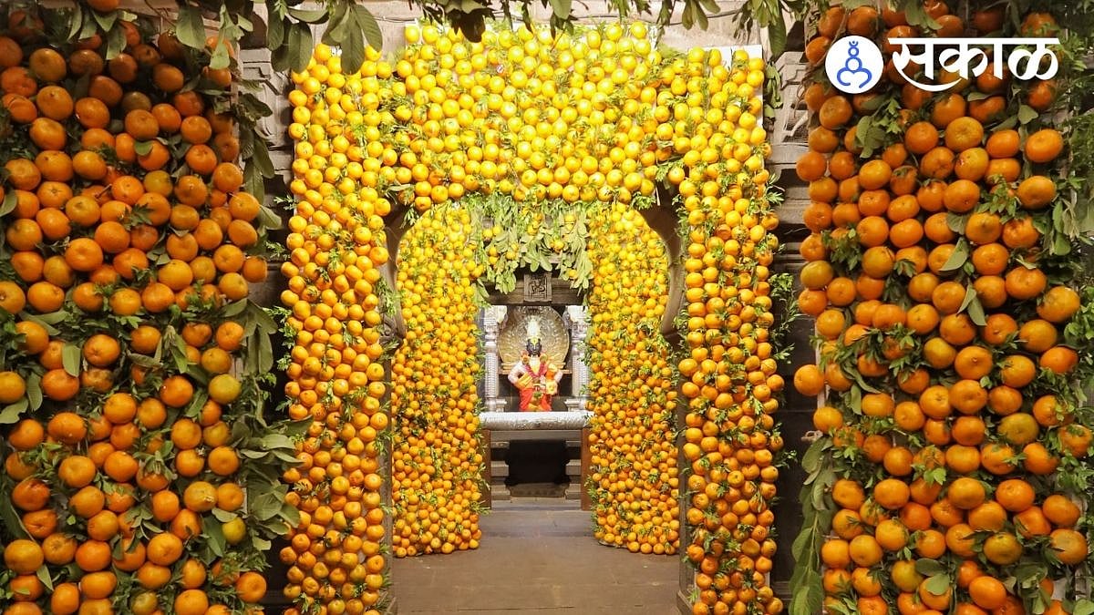 नववर्षानिमित्त विठ्ठल-रुक्मिणी मंदिरात पाच हजार संत्र्यांची आरास; फळा ...