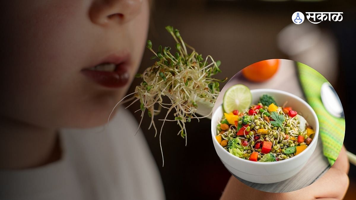Sprouts: मोड आलेले कडधान्य खाण्यापूर्वी 'या' 7 गोष्टी ठेवा लक्षात ...