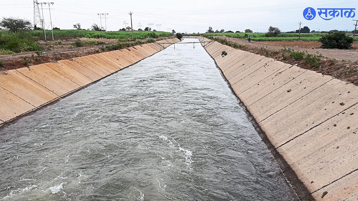 Tembu season begins : रब्बी हंगामासाठी ‘टेंभू’चे आवर्तन सुरू; ५५ हजार ...