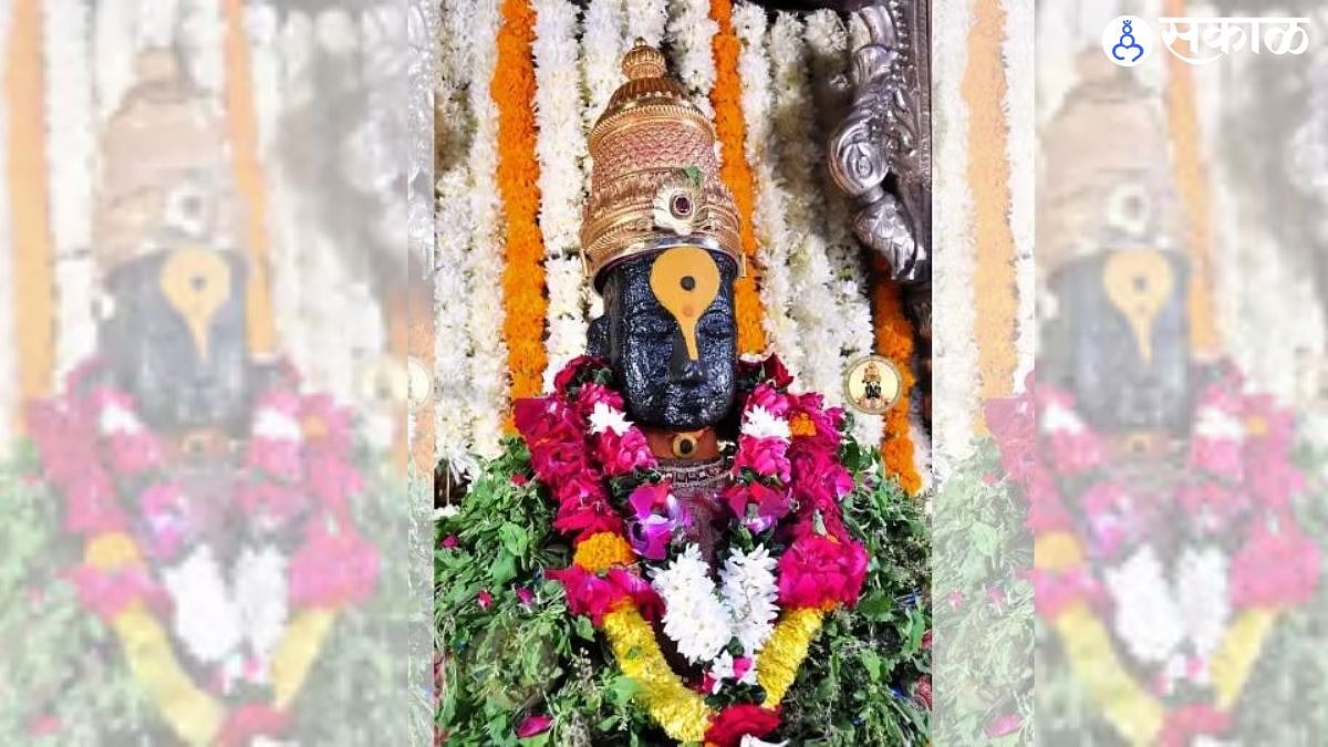 Vithuraya's Direct VIP Darshan : नवविवाहित जोडप्यांना विठुरायाचे थेट ...