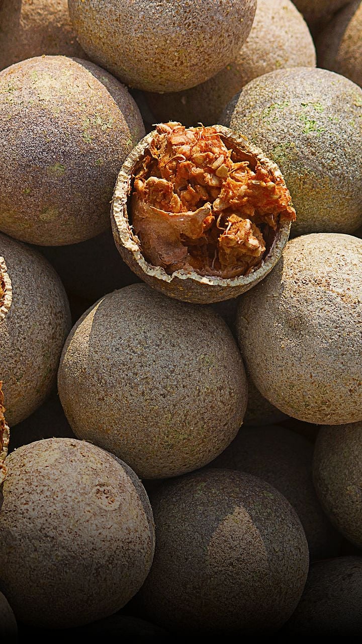 6 Amazing Benefits of kavath wood apple Fruit in Summer Boost Immunity ...