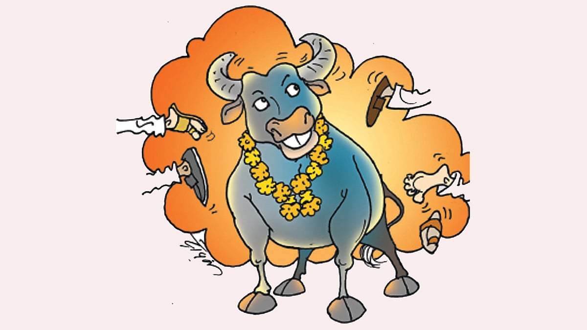 ढिंग टांग : याला ‘पुरावा’ काय? dhing tang british nandi sanjay raut ...