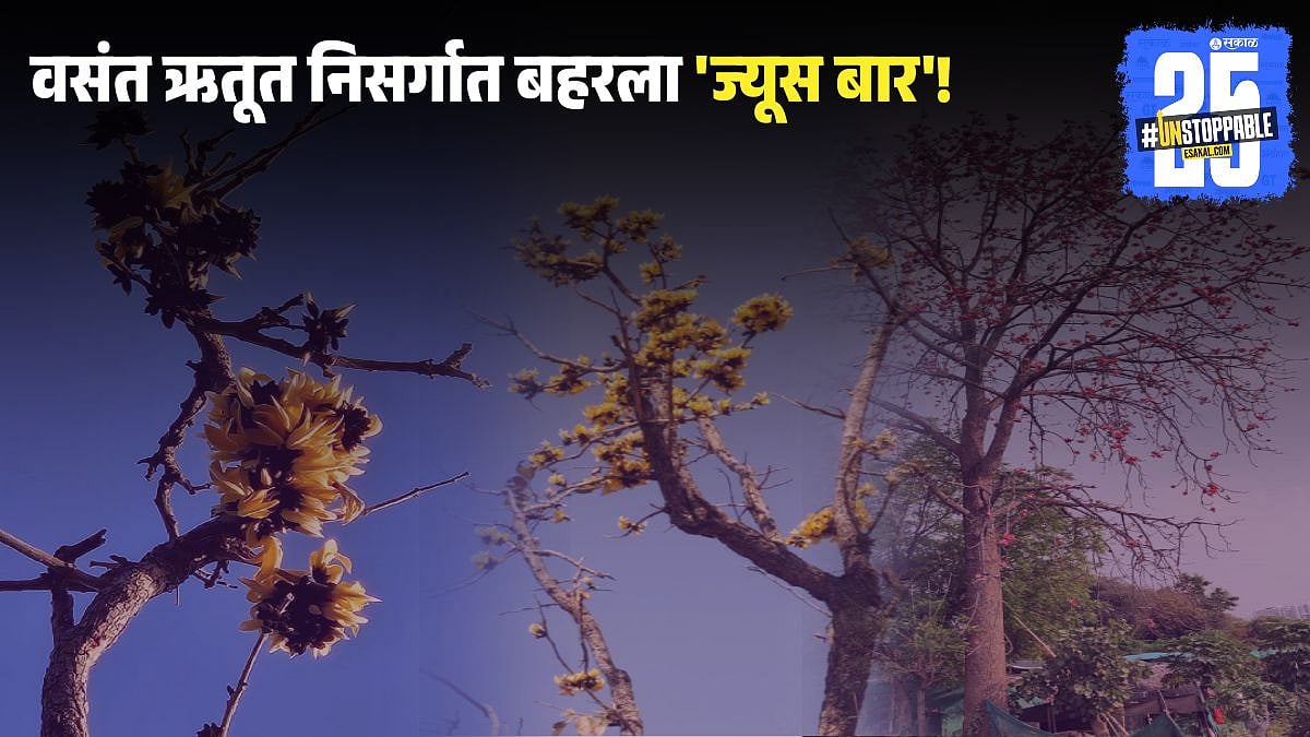 Vasant Ritu : वसंत ऋतूत निसर्गात बहरला 'ज्यूस बार', उन्हाळ्याच्या ...