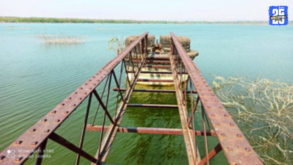 Flemingo Bird : मायणी तलावाकडे यंदाही फ्लेमिंगोची पाठ; पक्षीप्रेमींचा ...