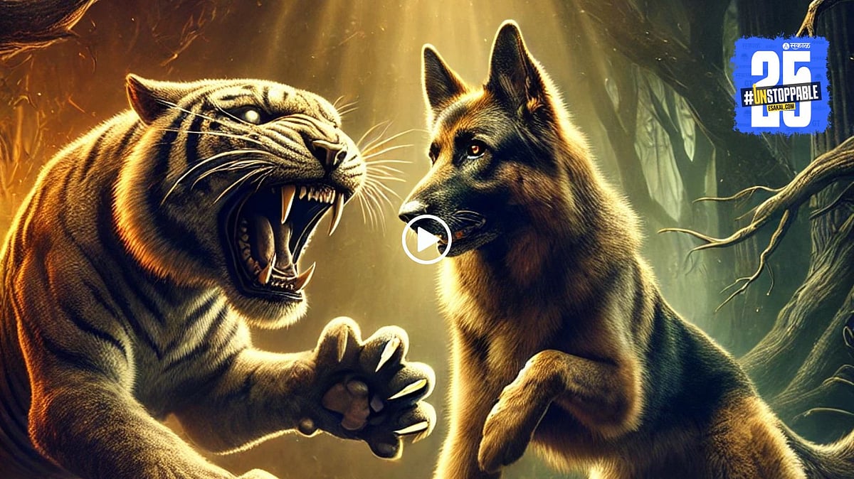 Viral Video: कुत्रा असलो म्हणून काय झालं? गल्लीतील वाघ मीच... वाघ VS ...