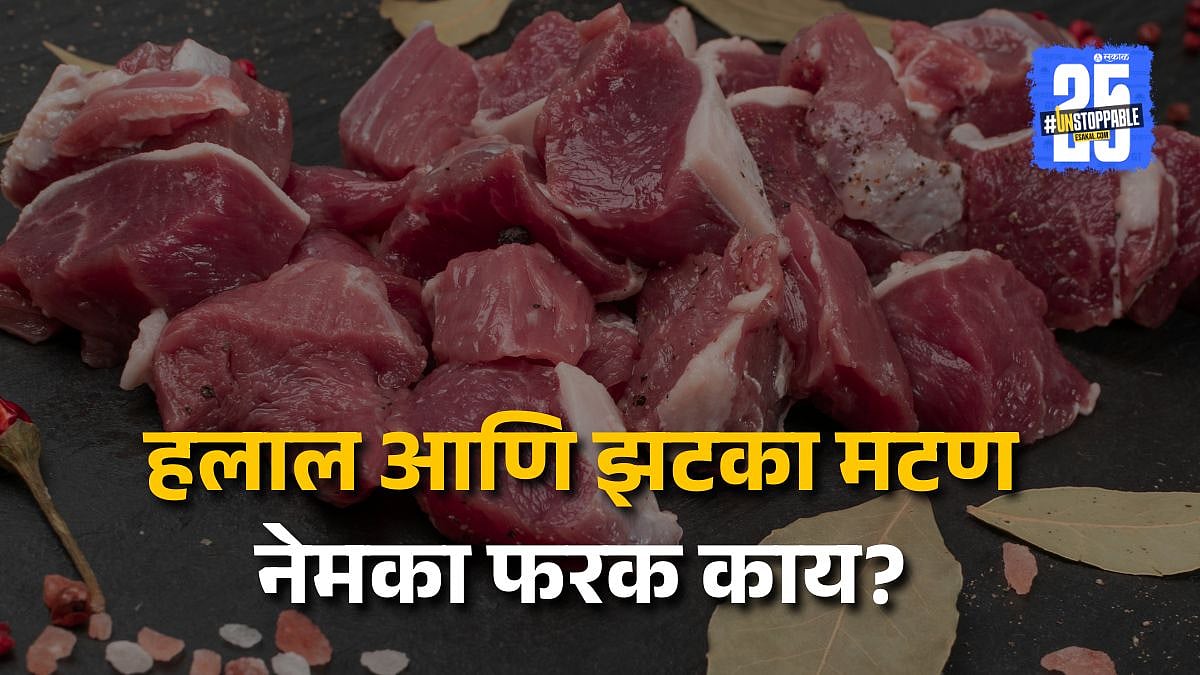 हलाल आणि झटका मांस, दोन्हीत फरक काय? मल्हार सर्टिफिकेशनमुळे सुरू झालीय ...