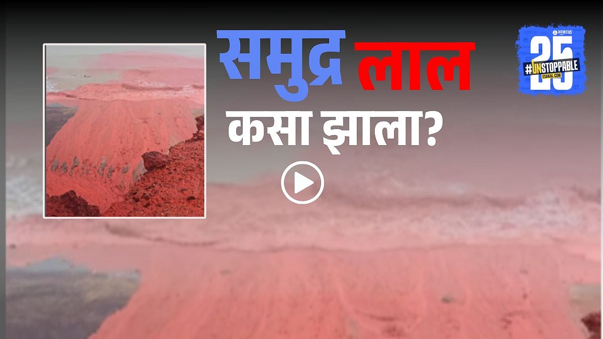 Red Sea Viral Video: लाल समुद्र! रक्ताचा सडा की निसर्गाचा चमत्कार ...