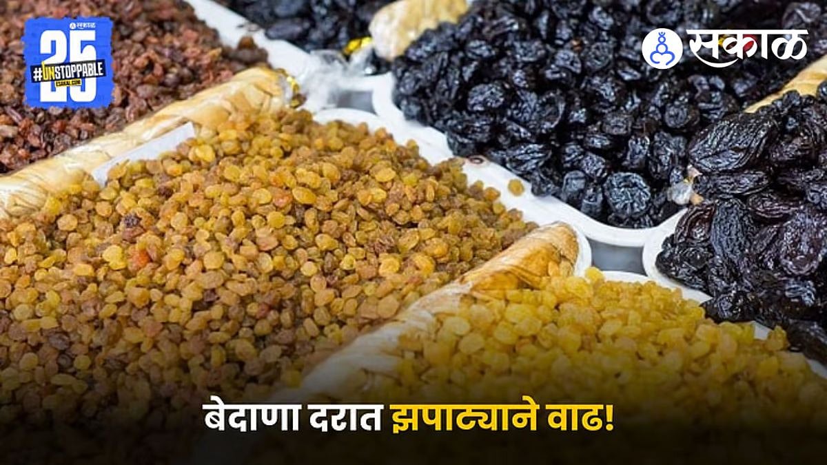 Bedana Rate : बेदाण्याला पंढरपुरात उच्चांकी 511 तर सोलापुरात 401 रुपये ...