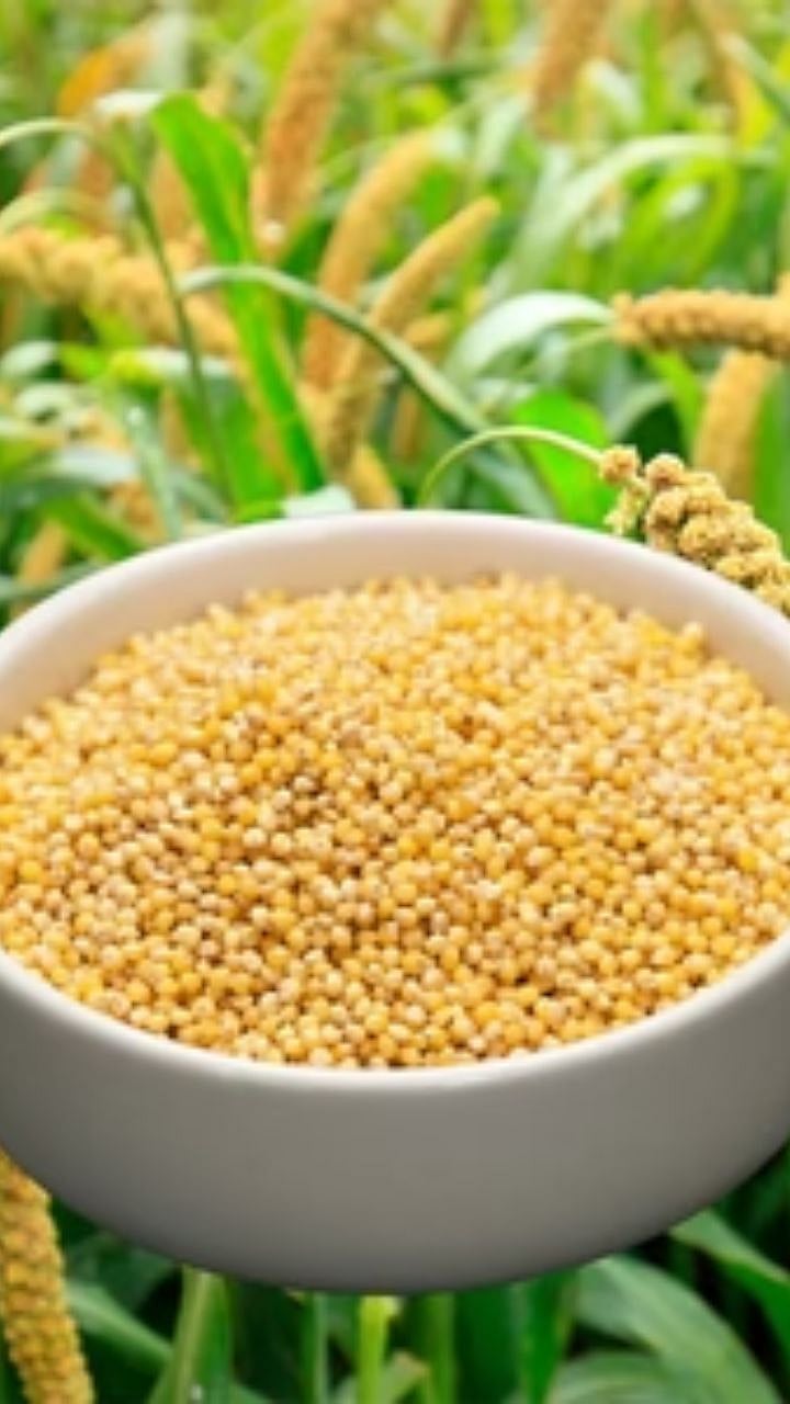 राळ्याचा भात खाण्याचे १० जबरदस्त फायदे Foxtail Millet Benefits I Health ...