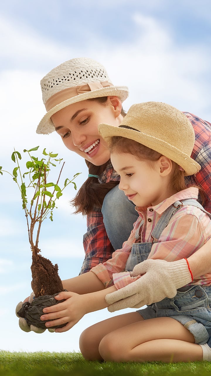 आरोग्याच्या दृष्टीने झाडे लावणे का महत्त्वाचे आहे? Why Planting Trees ...
