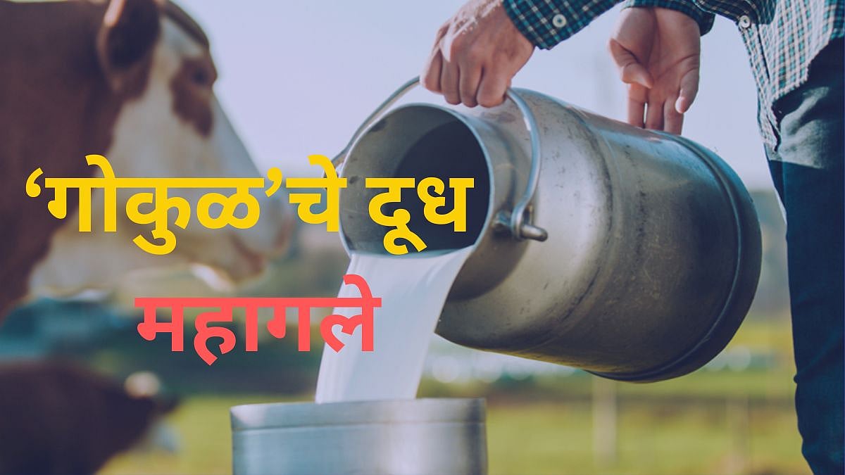 Gokul Milk Price Hike : 'गोकुळ'चे दूध महागले; आजपासून प्रतिलिटर 'इतक्या ...